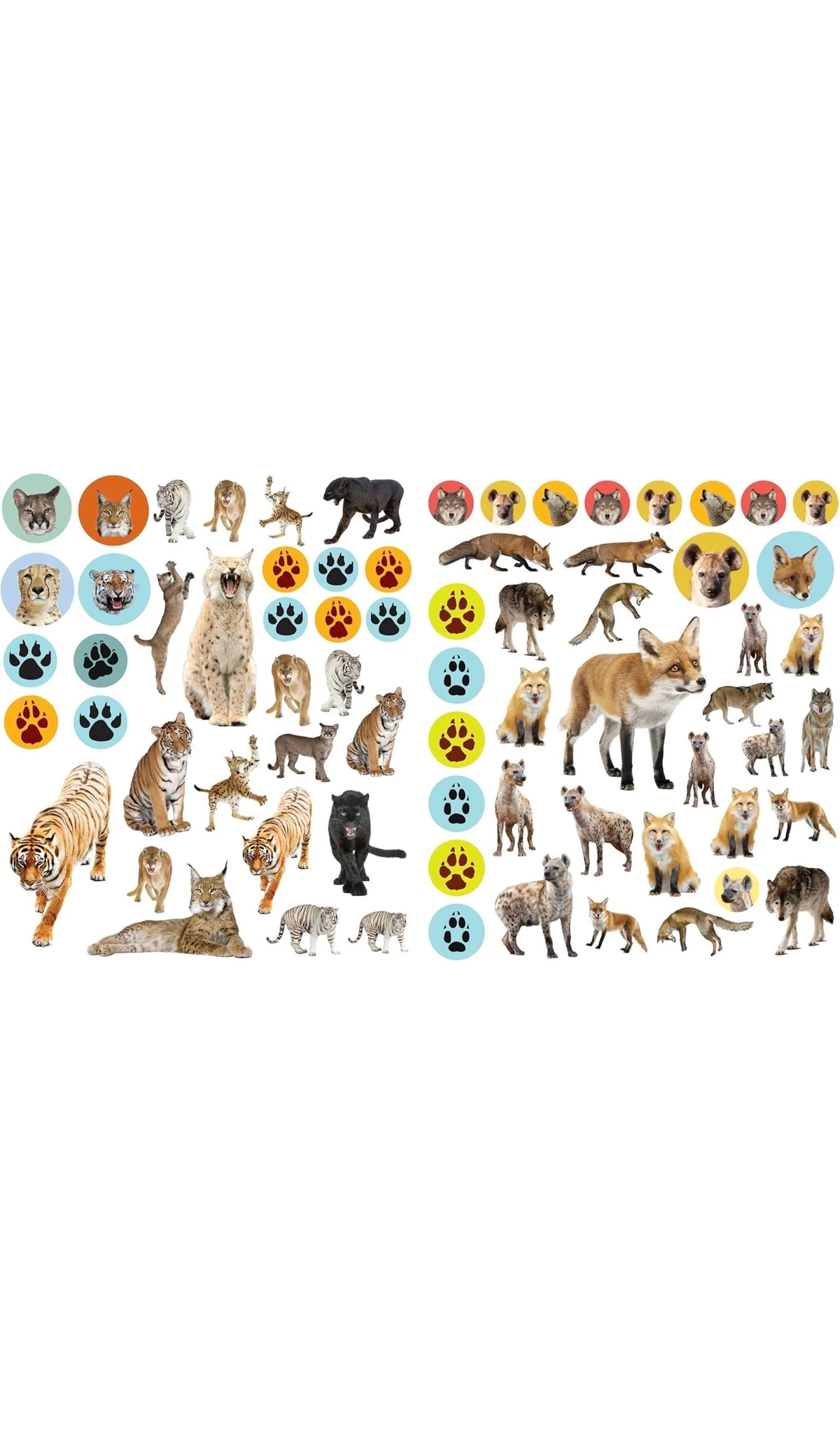 Eye Like: Wild Animals 400 Reusable Stickers Inspired by Nature