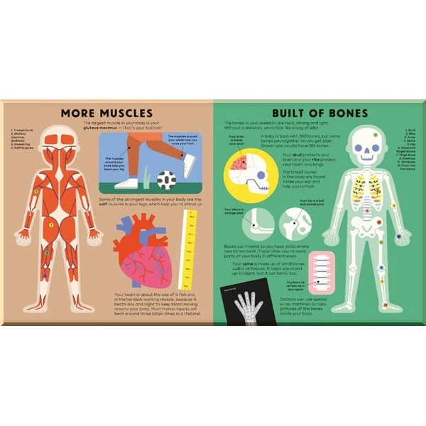 The Body Book