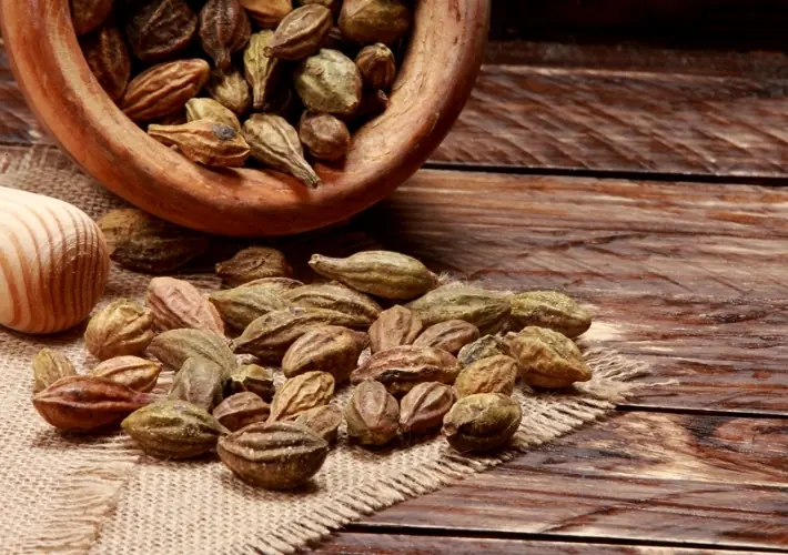 Kara Halile Faydaları Nelerdir? Nasıl Kullanılır?