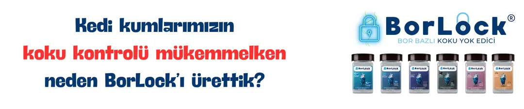 Neden BorLock'ı ürettik?