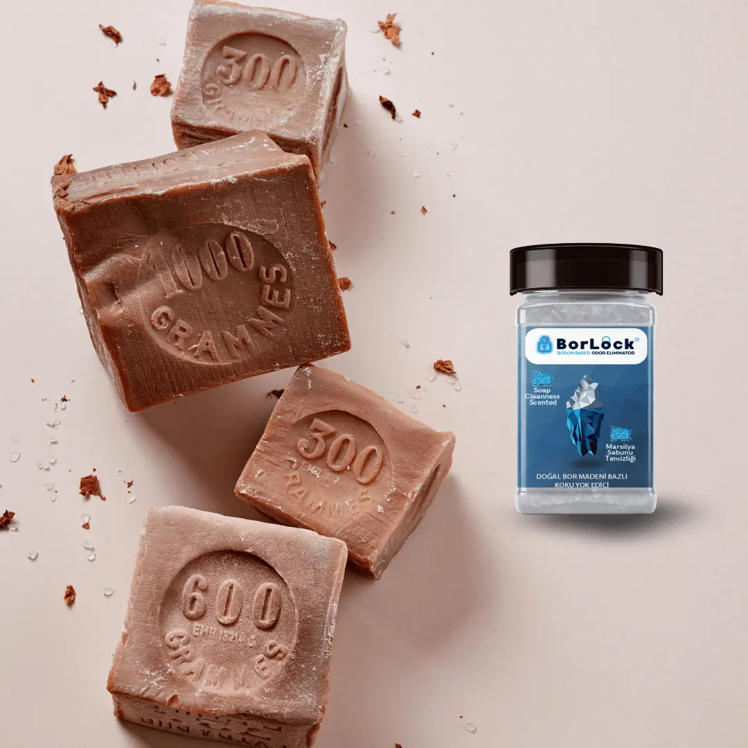 Borlock Sabun Temizliği Kokulu Koku Giderici