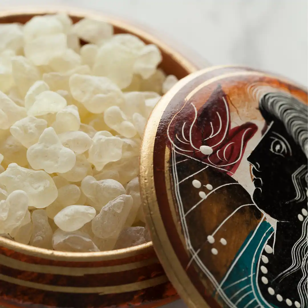 What is Mastic Gum? | History | Areas of Use