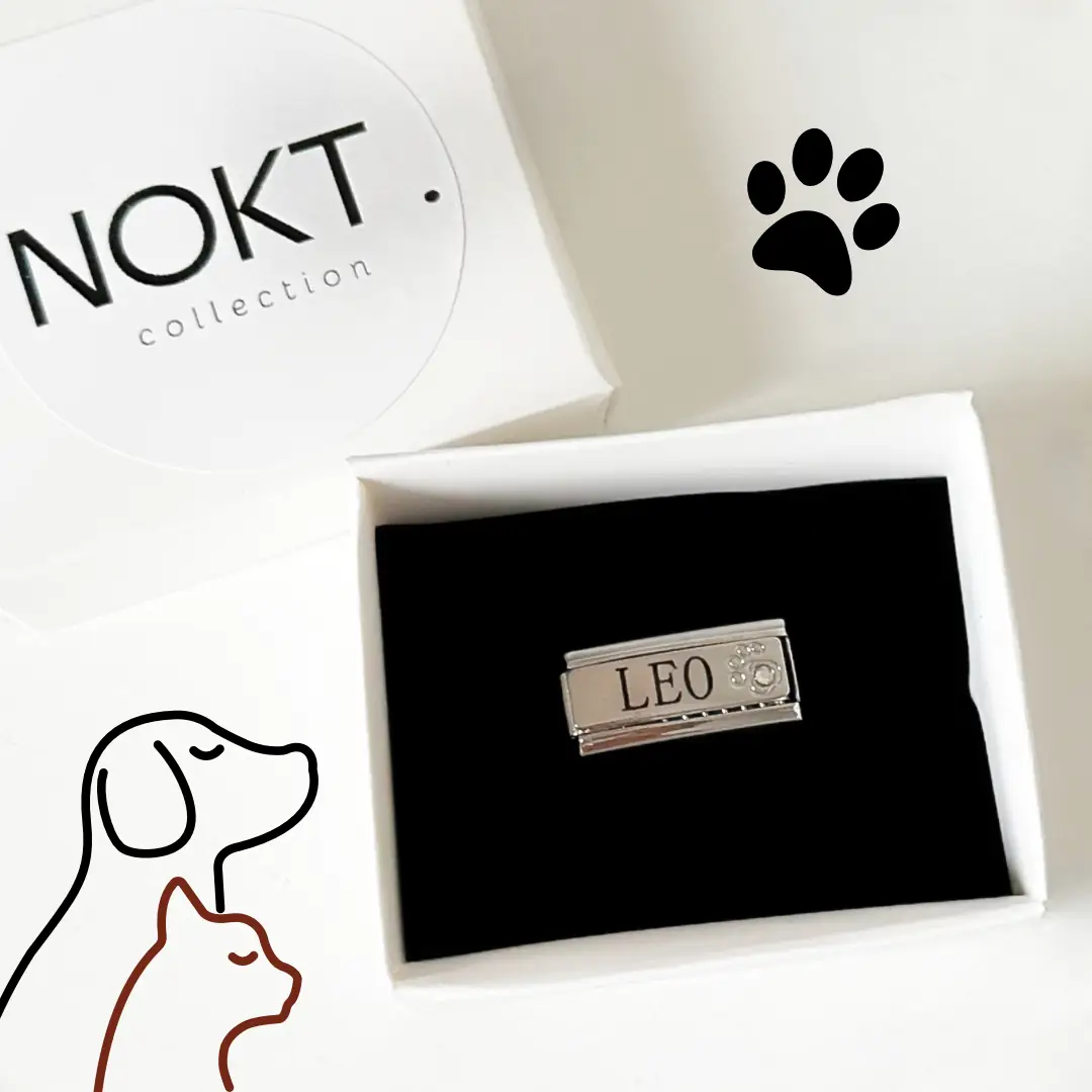 Patili Dostlar Nomi Charm (Çelik)