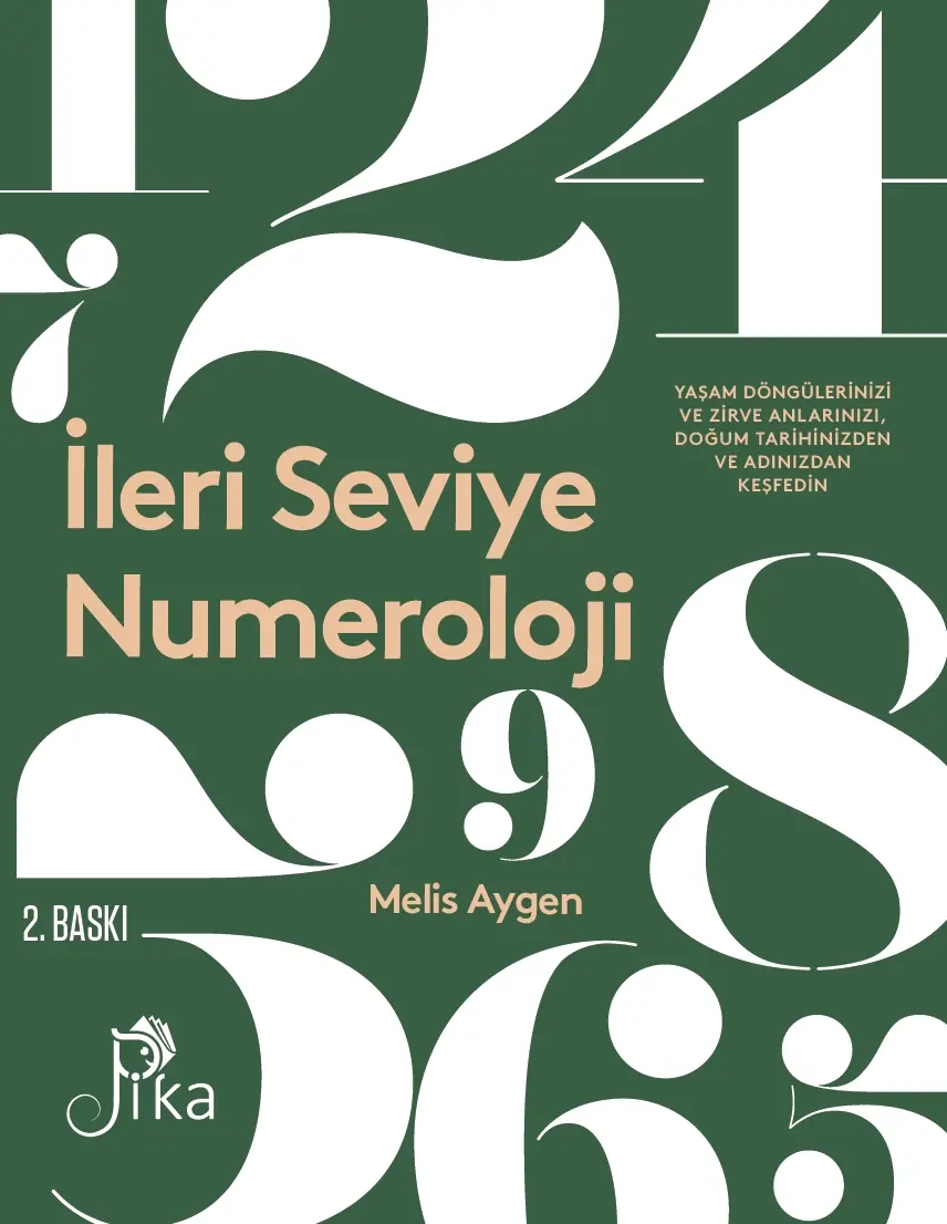 İLERİ SEVİYE NUMEROLOJİ KİTABI