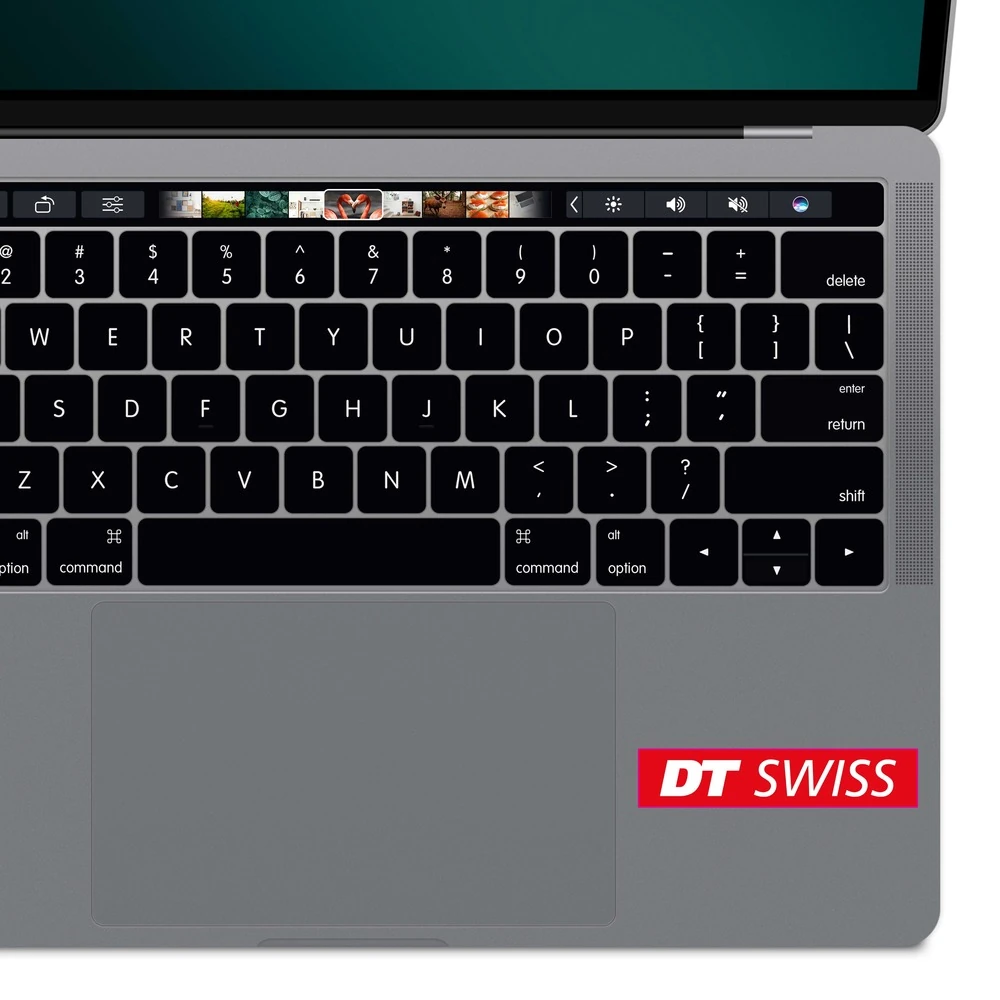 DT Swiss Logo Sticker