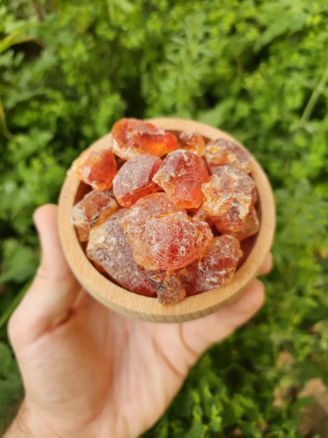 Akasya Zamkı