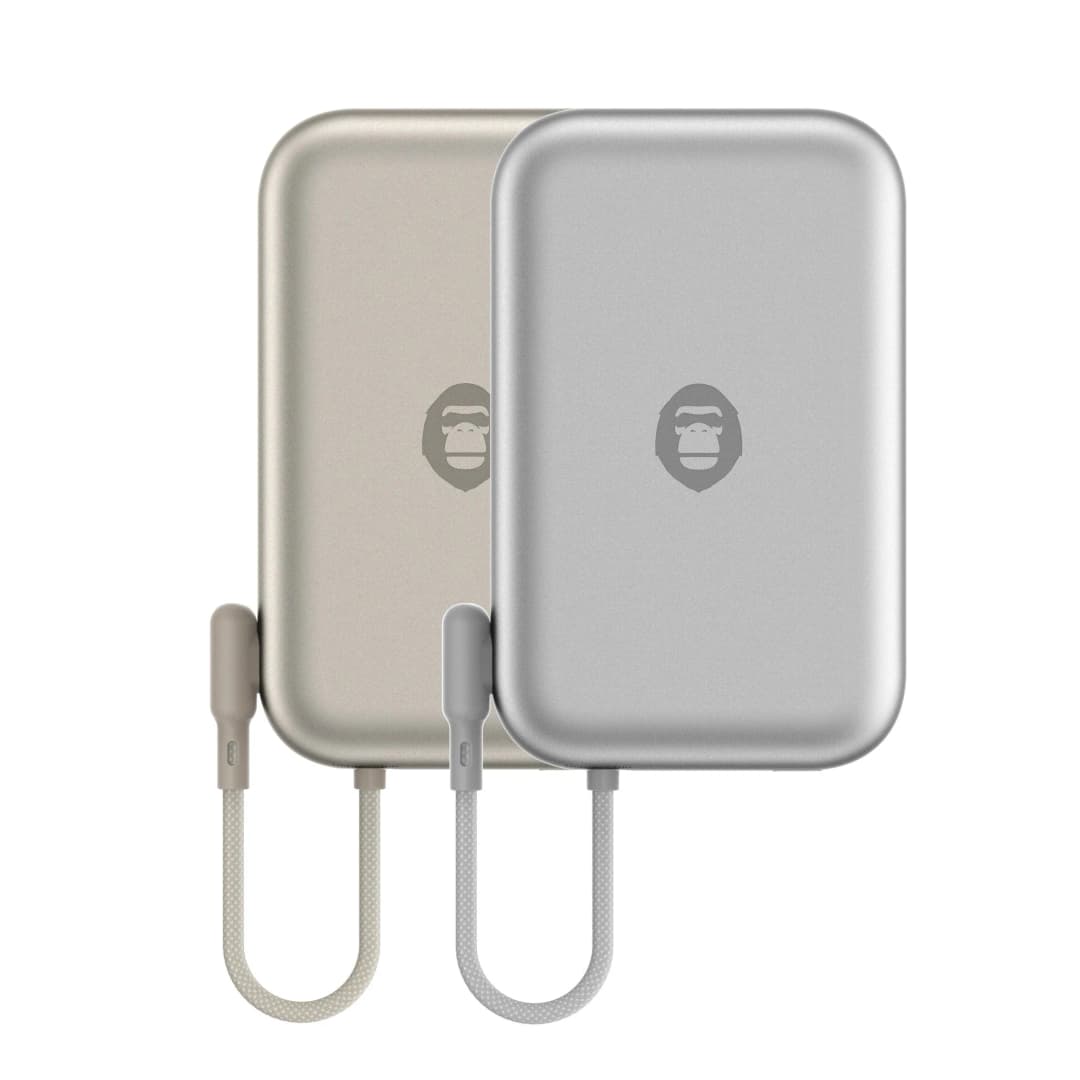 Blueo Space Capsule Magnetic Wiriless Power Bank - Natural Titanium