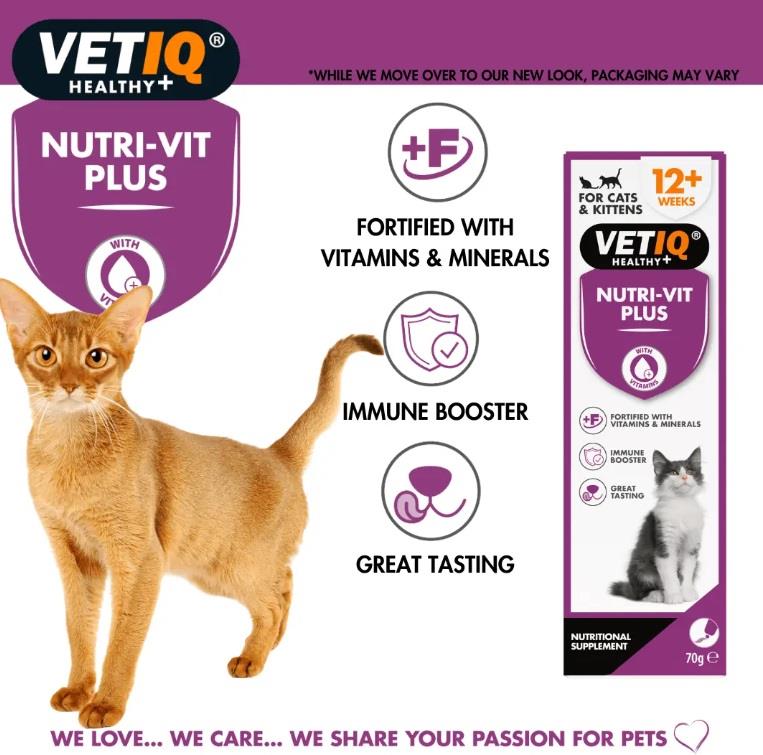 Vet IQ Nutri-vit Plus for Cats & Kittens Kediler İçin Vitamin & Mineral ...