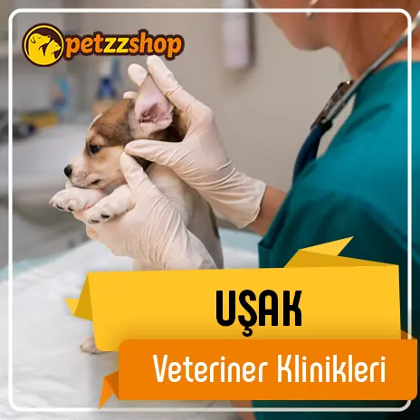 Uşak 7/24 Açık En İyi Veteriner Klinikleri İletişim Bilgileri