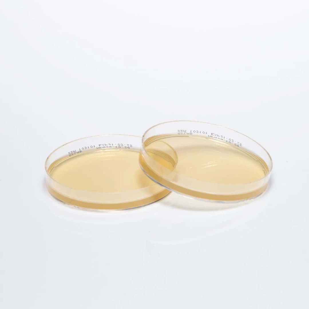 SABOURAUD DEXTROSE AGAR (SDA)