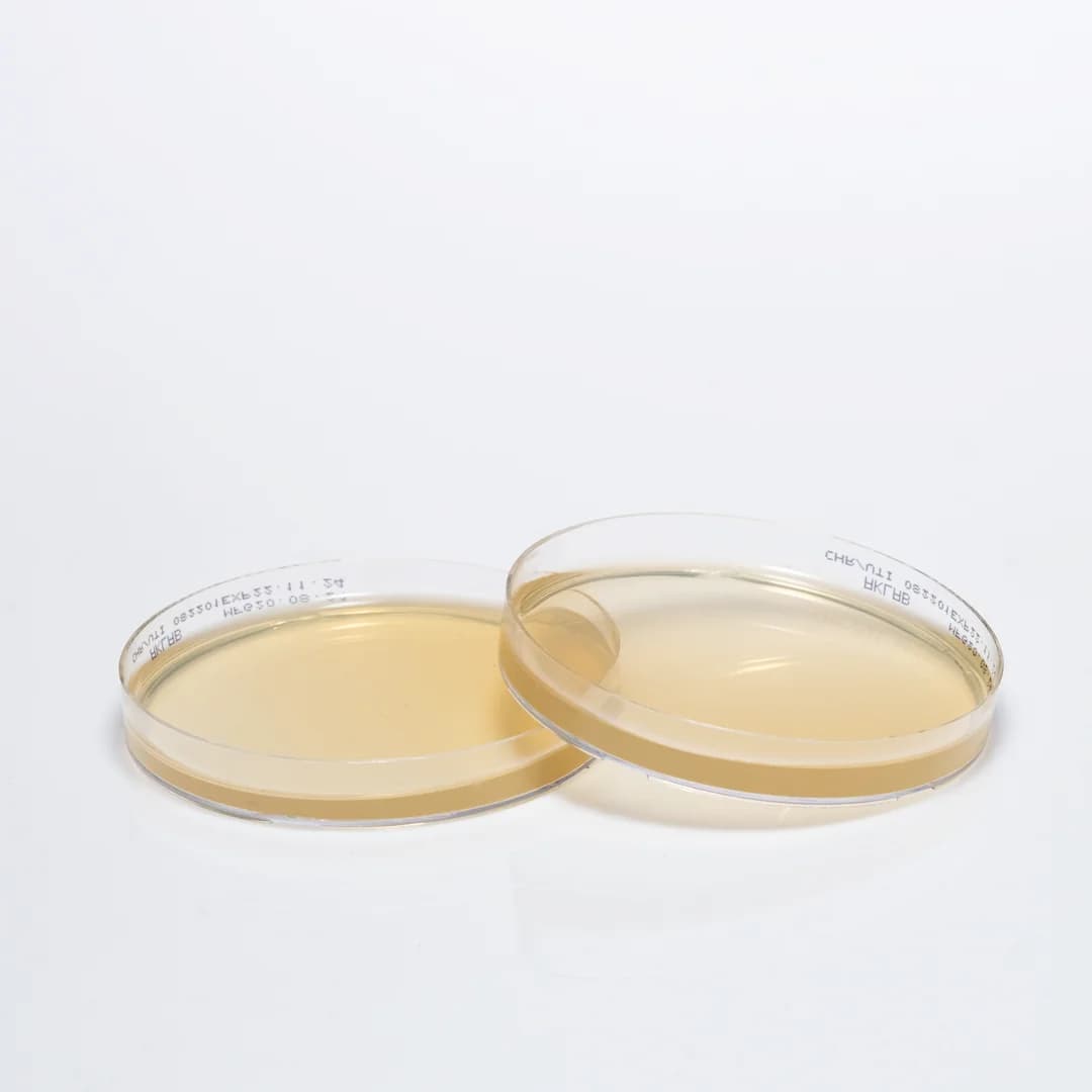 CHROMOGENIC UTI AGAR