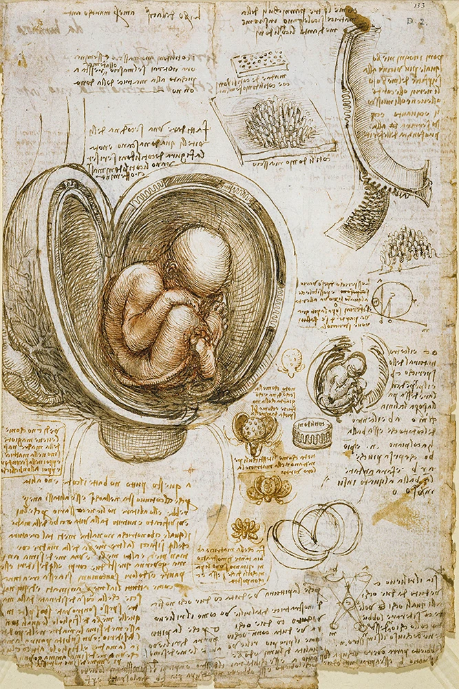 Leonardo da Vinci - Embriyo Poster