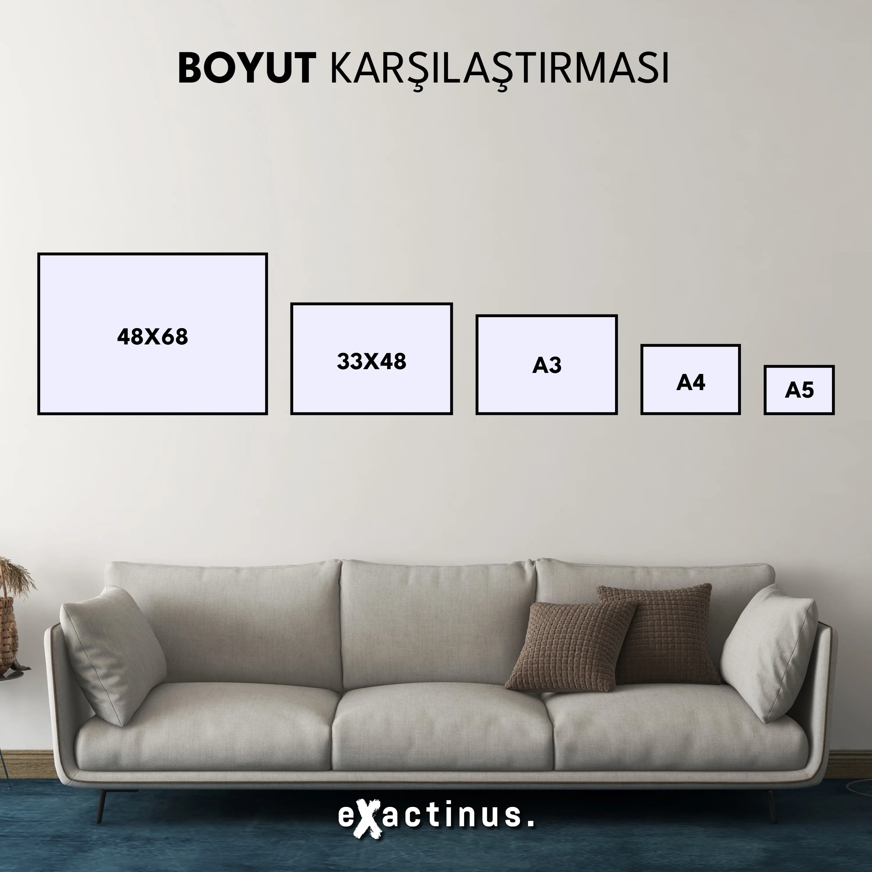 John James Audubon - Beyaz Başlı Kartal Poster