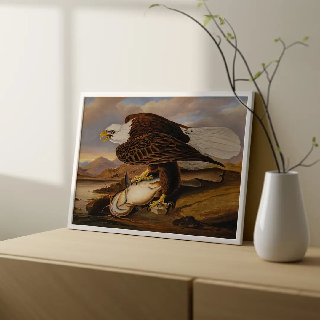 John James Audubon - Beyaz Başlı Kartal Poster