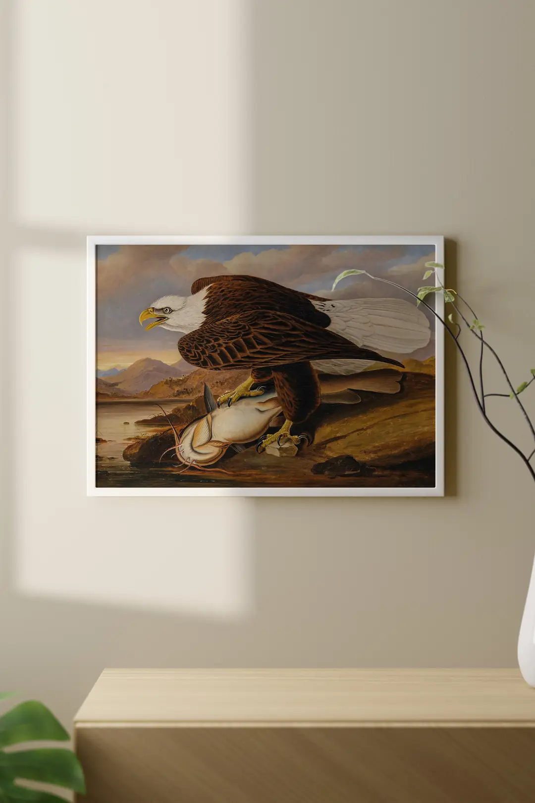 John James Audubon - Beyaz Başlı Kartal Poster