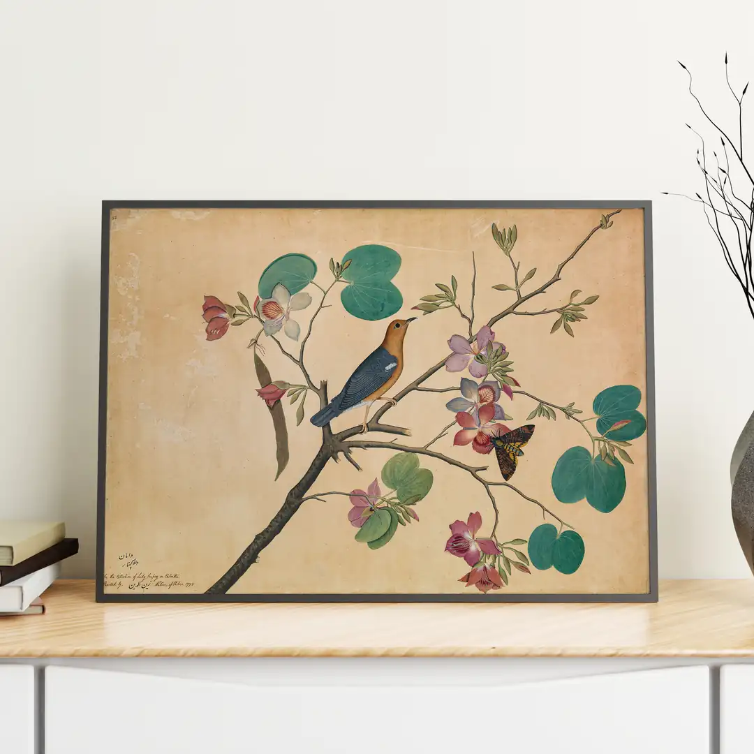 Şeyh Zeyneddin - Orkide Dalındaki Ardıç Kuşu Poster