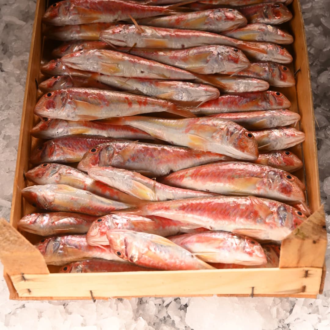 Karadeniz Barbun (Tekir) 4 Kg Kasa