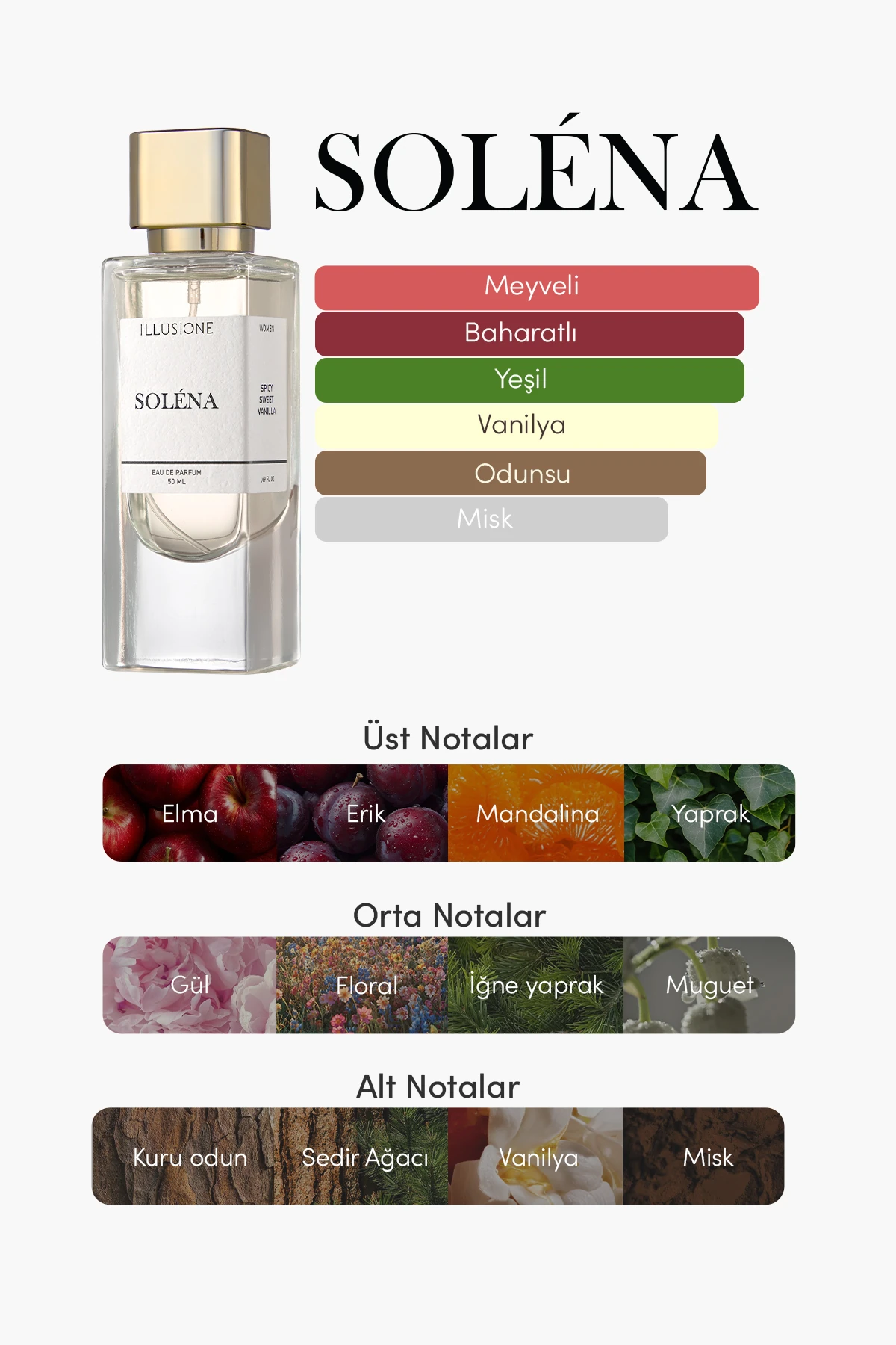 Soléna EDP Kadın Parfüm 50ml Fiyatı, Yorumları | Illusione Perfume