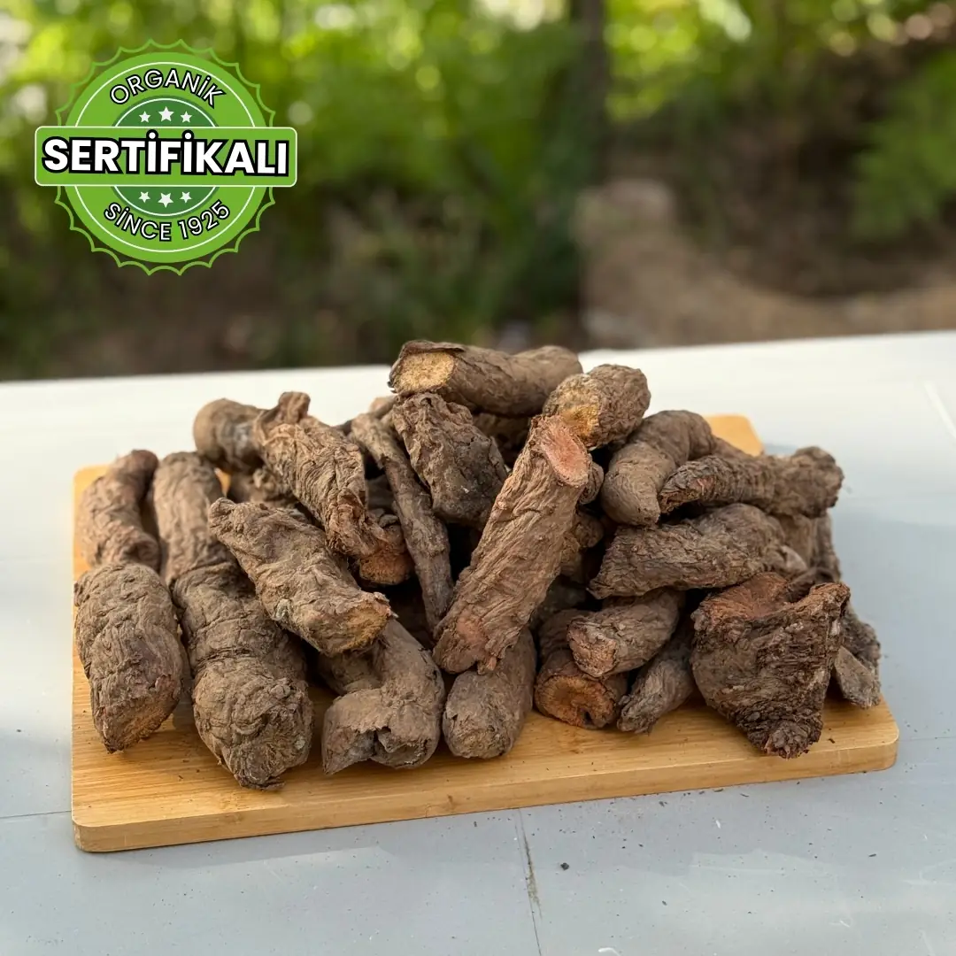 ışkın otu kökü uçkun otu kökü