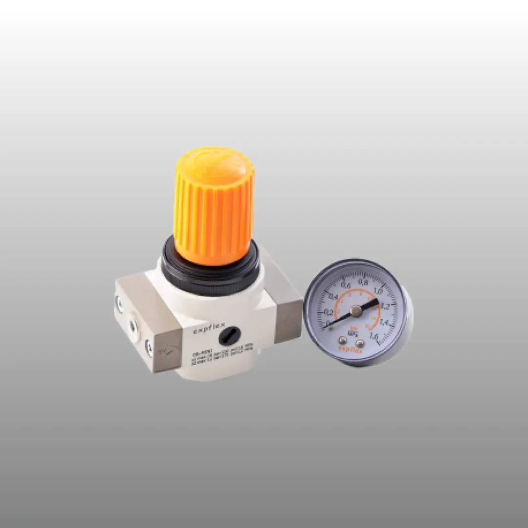 1/8 REGÜLATÖR+MANOMETRE 16 BAR