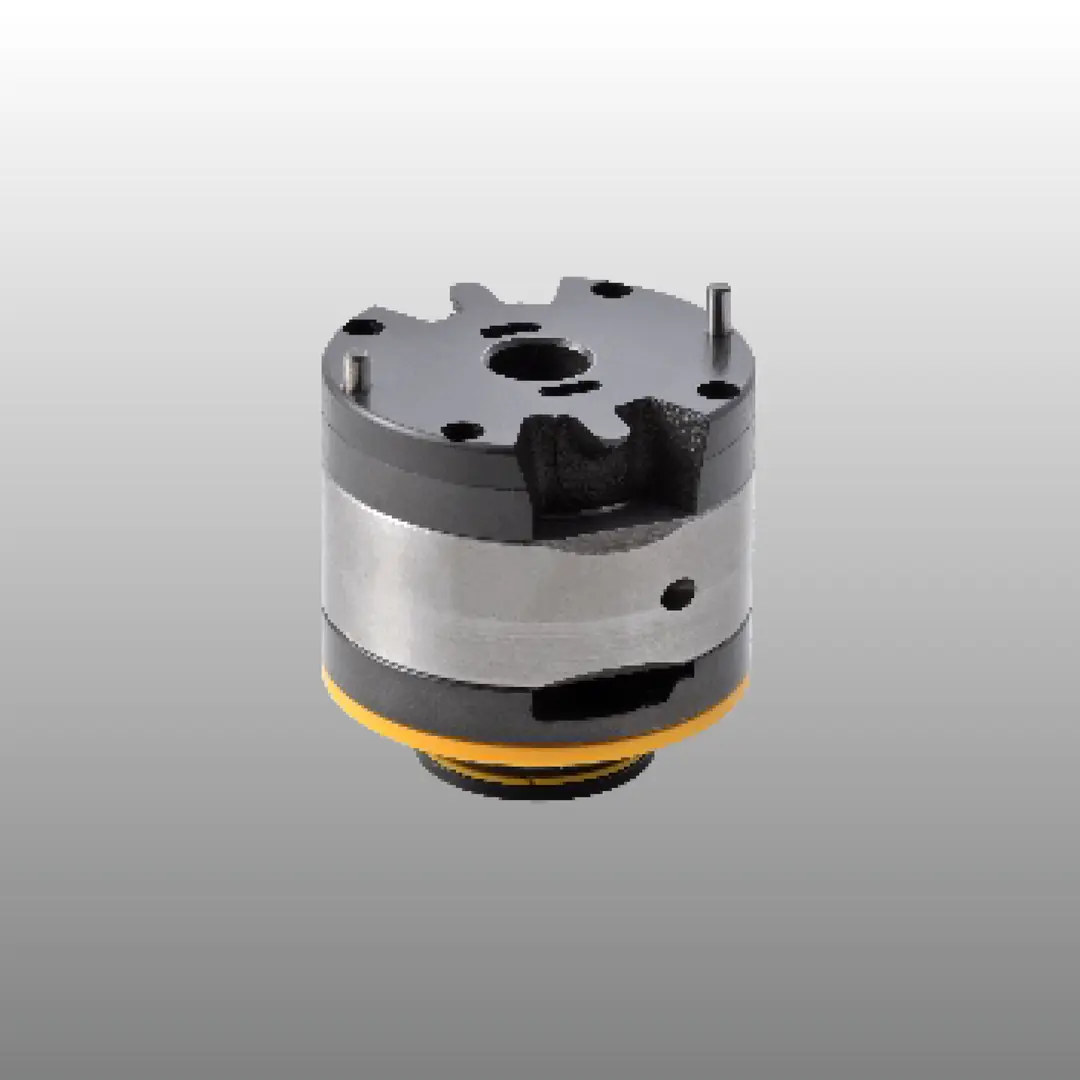 25V10 SABİT DEBİLİ PALETLİ POMPA KATRİÇİ