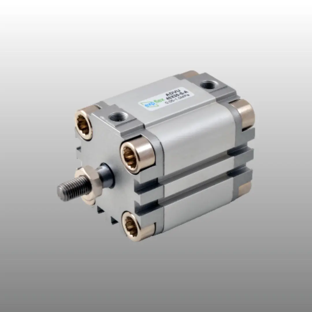 25X30 ERKEK MİLLİ MNY.SHORT SİLİNDİR