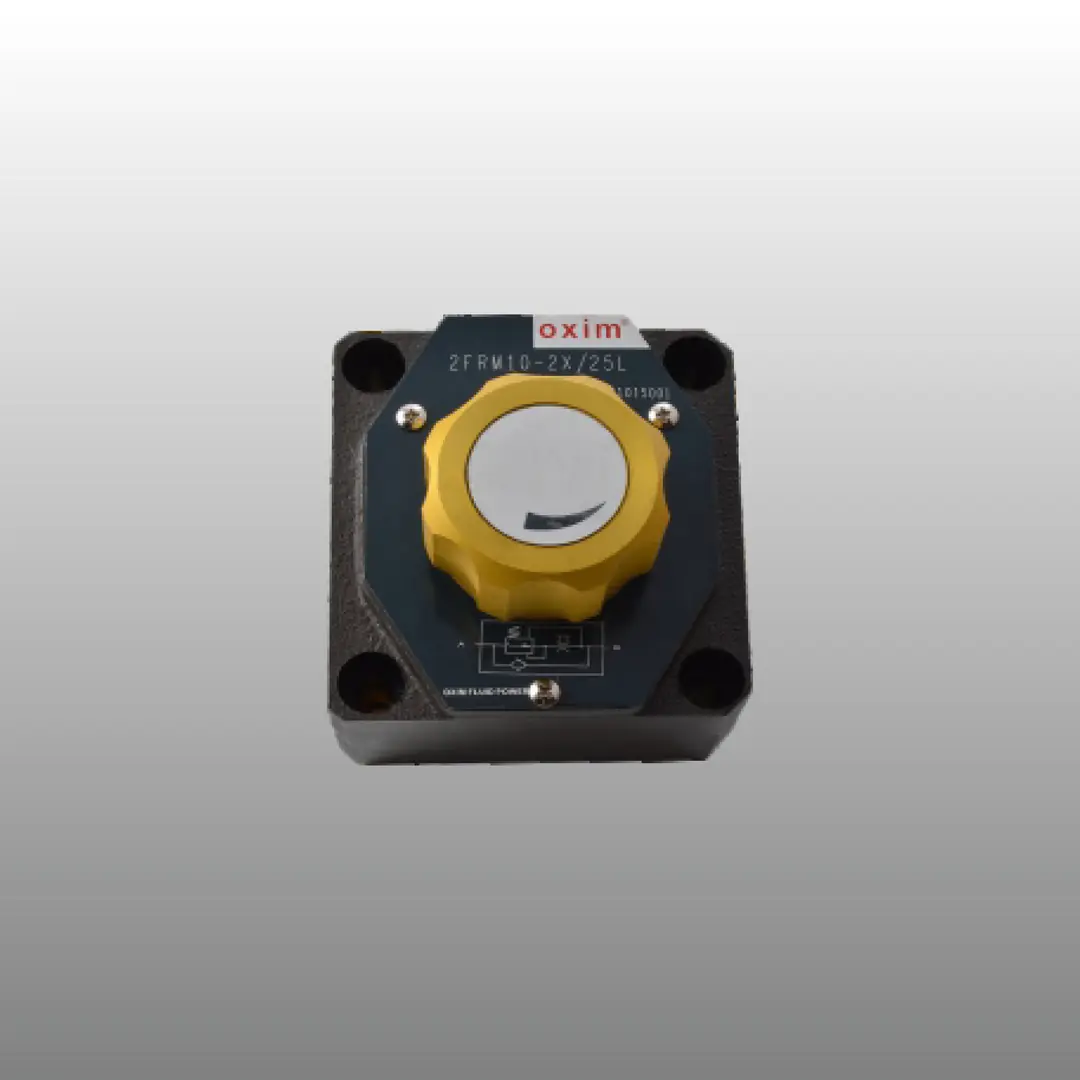 NG 10 EL TANBURLU HASSAS HIZ AYAR VALFİ