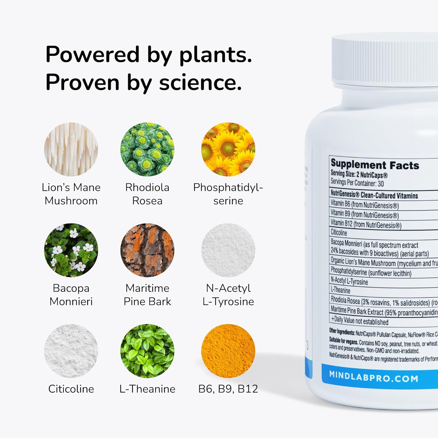 Mind LabUniversal Nootropic Brain Booster Supplement for Focus, Memory ...