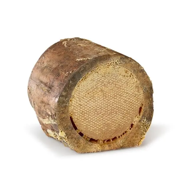 Canpetek Tabak Kütük Karakovan Bal (Tnk Kutu) 1250g