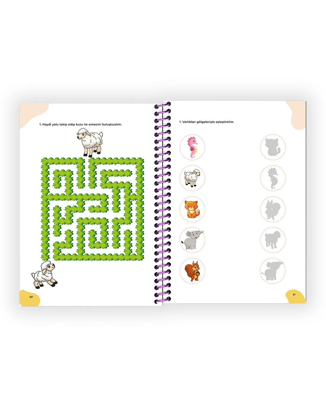 Dikkat Odaklı Etkinlik : Dikkat ve Görsel Algı| Eğitici Kitap