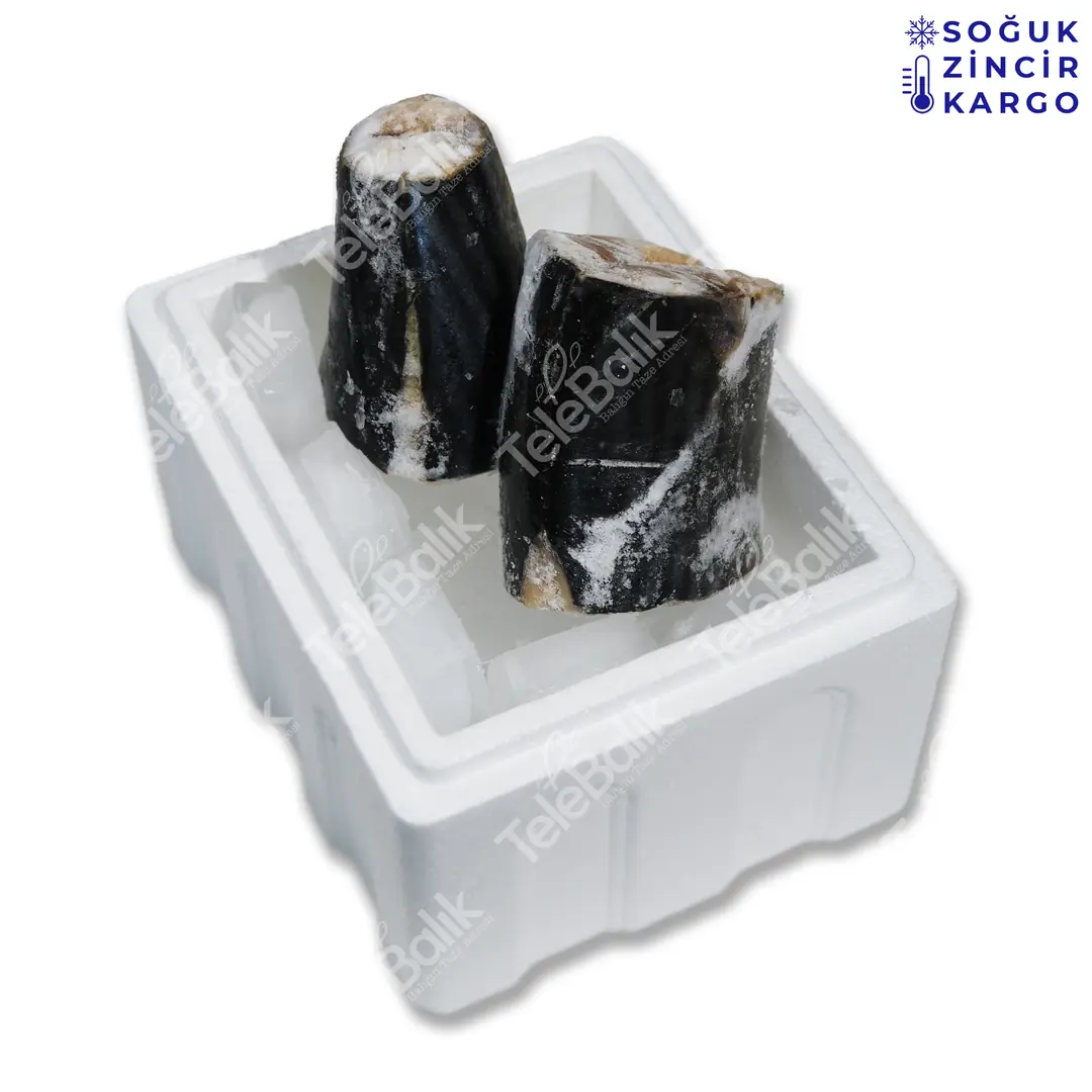 Torik Lakerda | TeleBalık