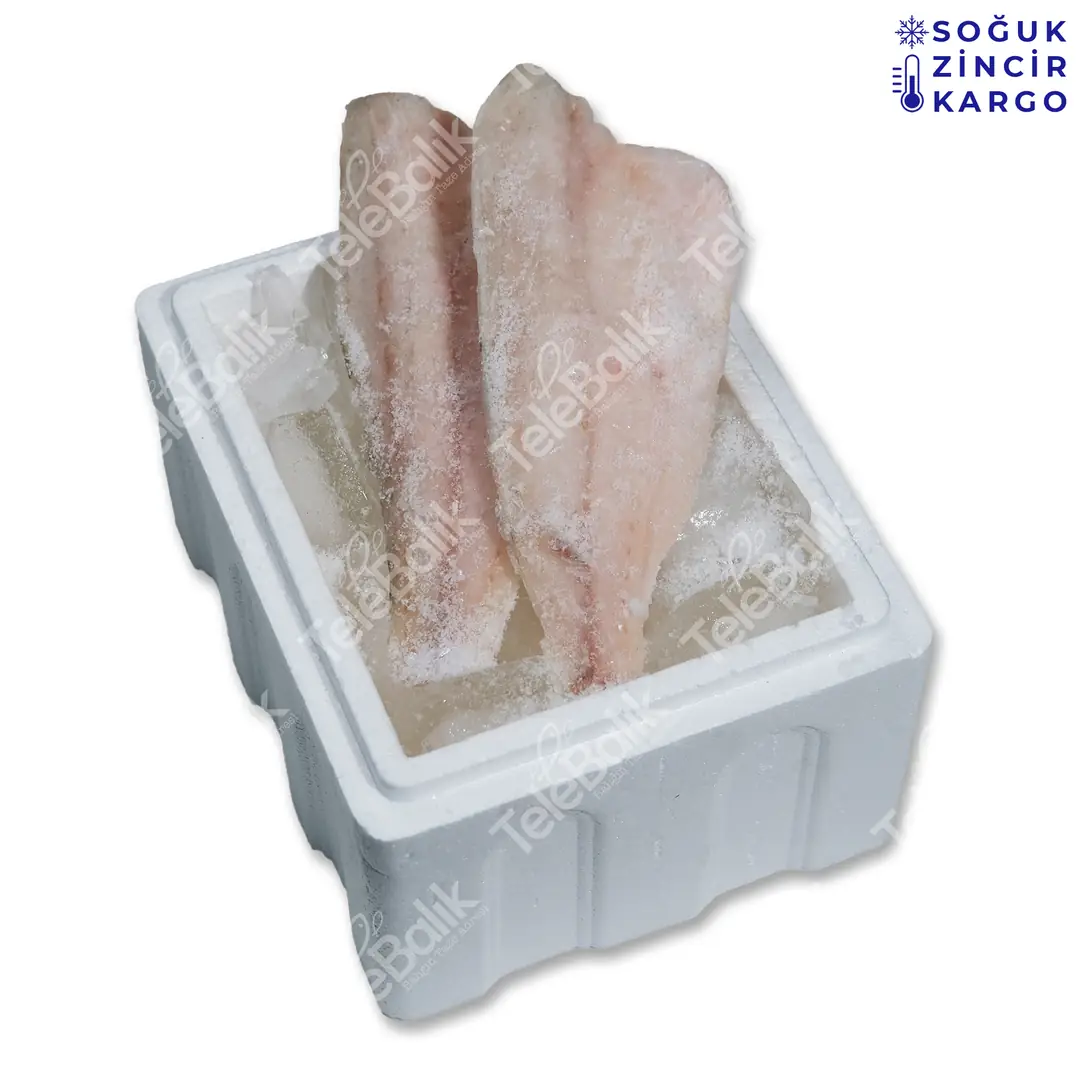 Levrek Fileto | TeleBalık