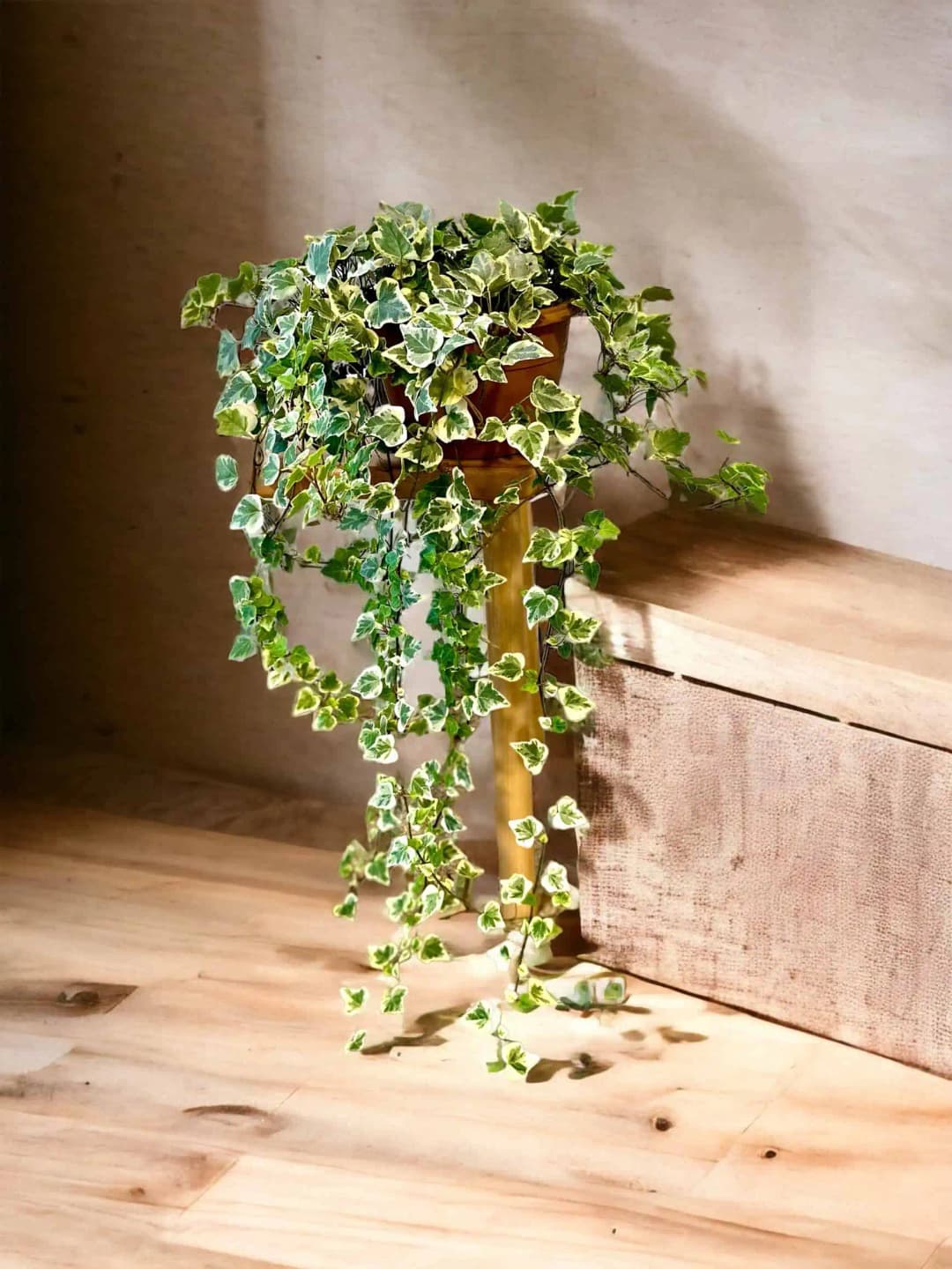 Hedera helix veriagata xl askılı saksıda