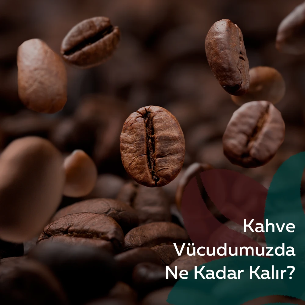 Kafein Vücudumuzda Ne Kadar Kalır?