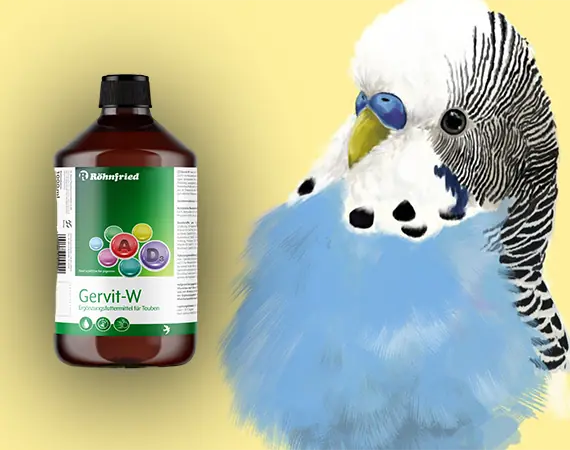 Gervit - W Multivitamin Nedir ? Ne İşe Yarar ? İçeriği