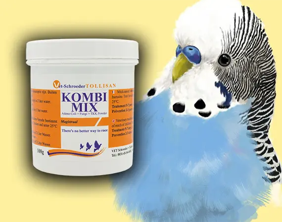 Kombi Mix Nedir ? Kombi Mix Nasıl Kullanılır