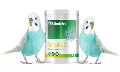 Röhnfried Entrobac Probiyotik Ne işe yarar ? Entrobac Nedir