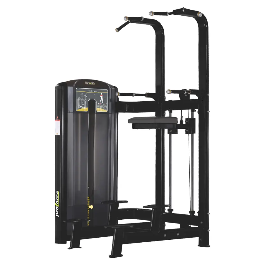 LUX 08 - UPPER LIMBS MACHINE