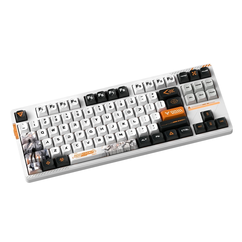 VGN V87 PRO Kablosuz Mekanik Klavye