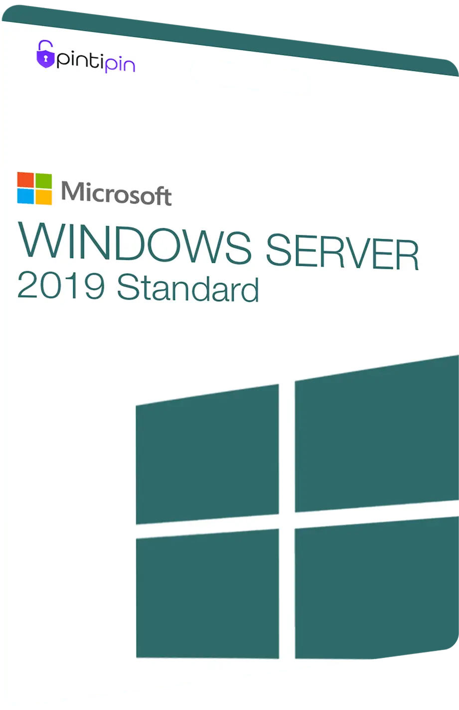Windows Server 2019 Standard Lisans - Pintipin