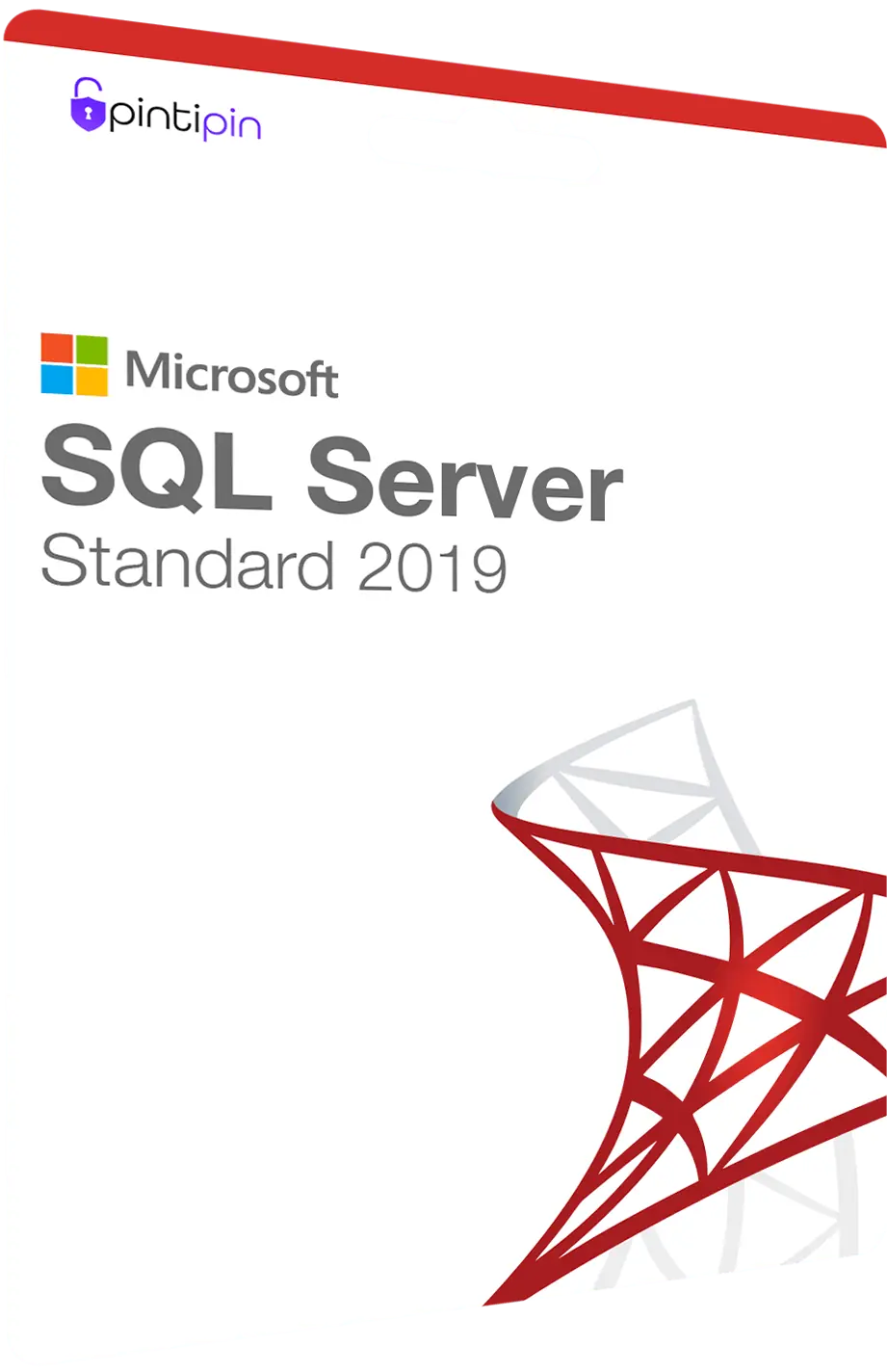SQL Server 2019 Standard Lisans - Pintipin