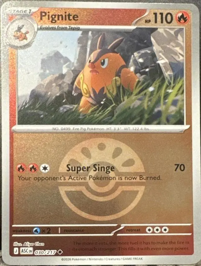 Pignite [Reverse Holo] #30 Pokemon Ascended Heroes