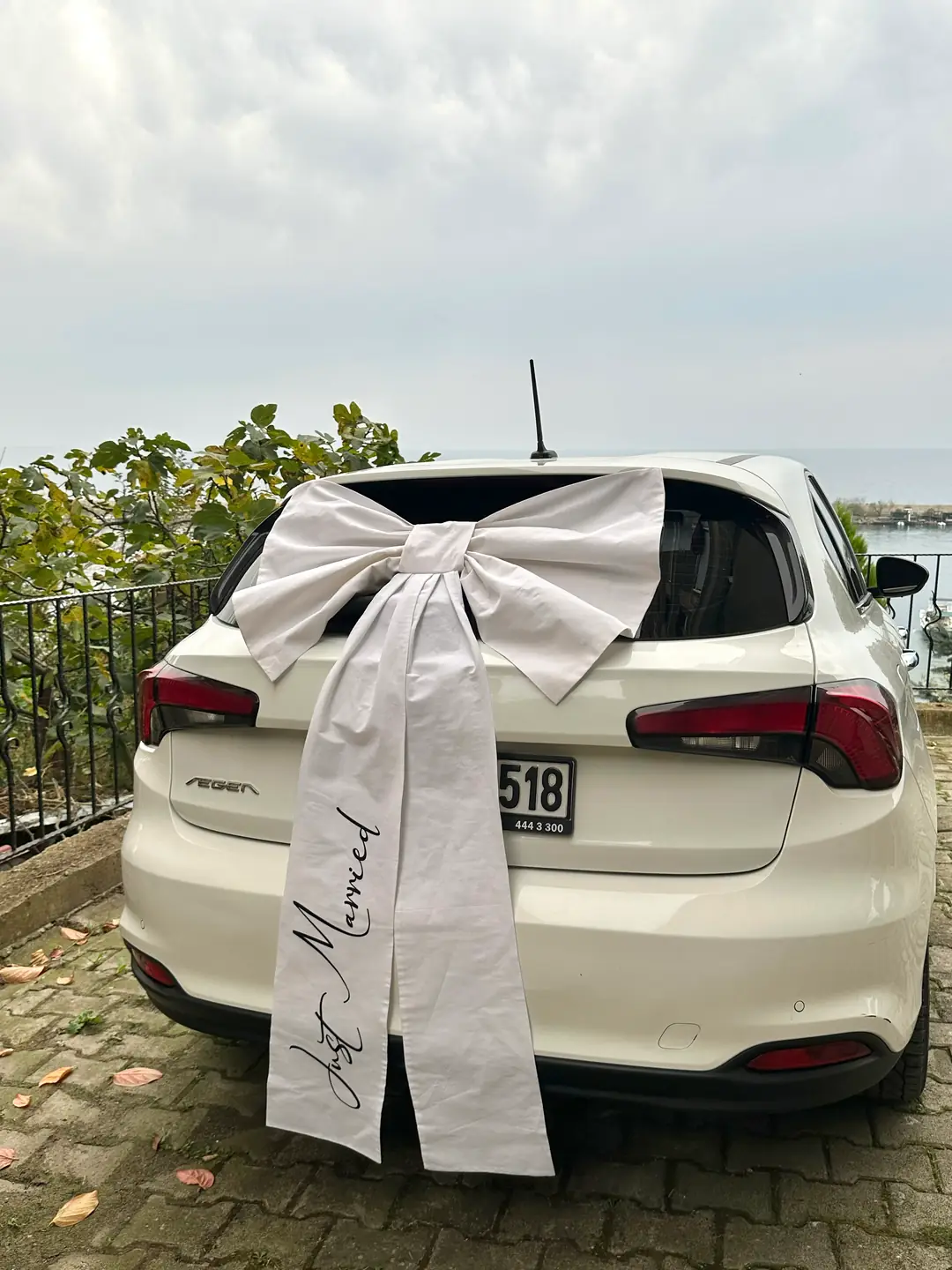 Everly Sign | Baskılı Dev Fiyonk