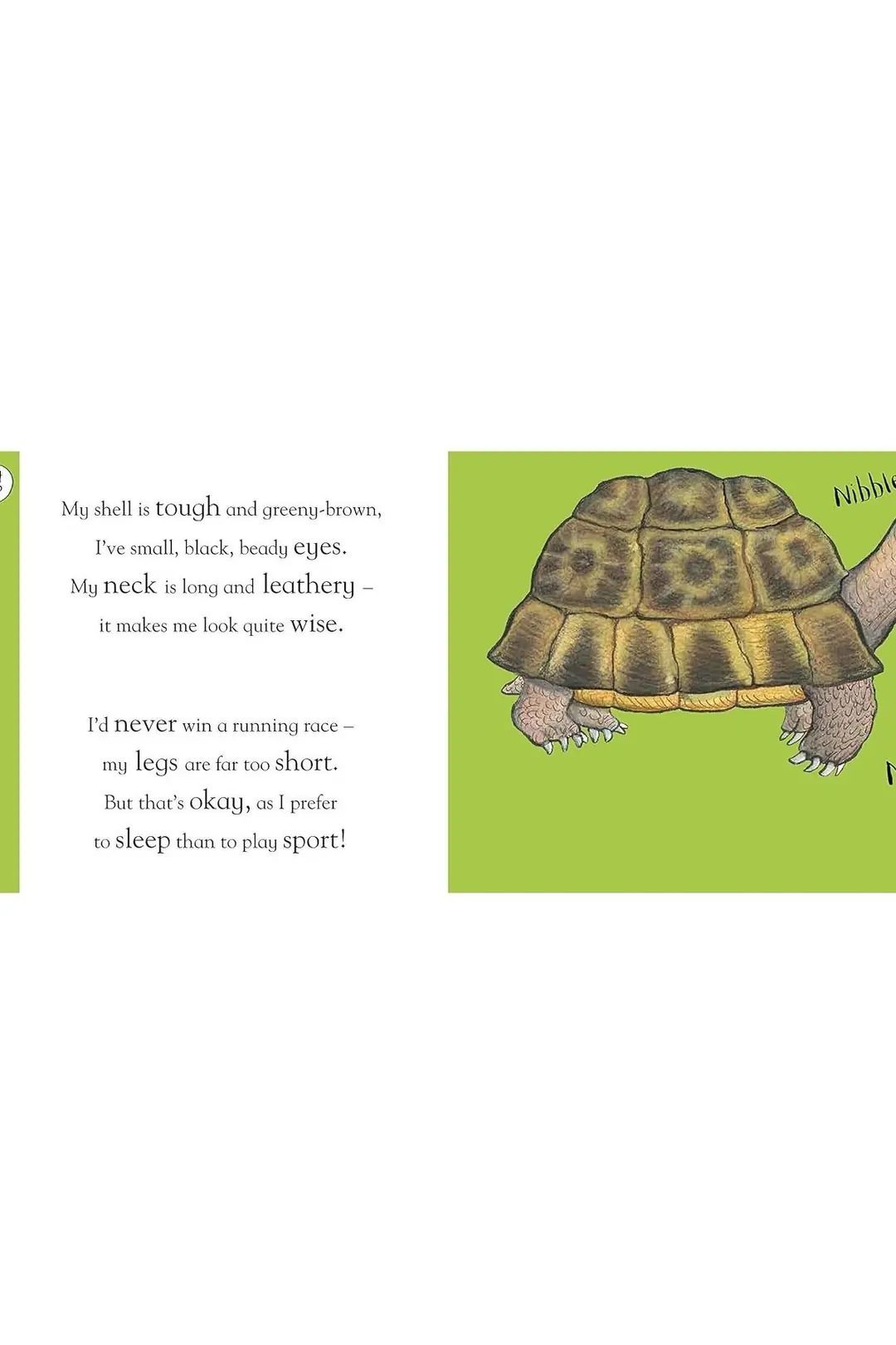Axel Scheffler's Flip Flap Pets