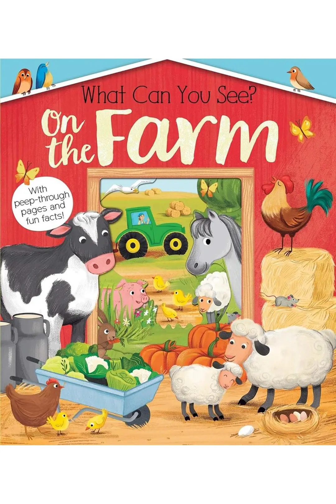 What Can You See On The Farm?