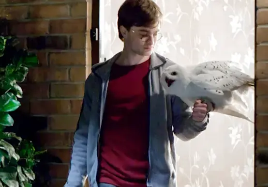 Hedwig Kimdir? Hakkında Bilinmeyenler ve İlginç Detaylar