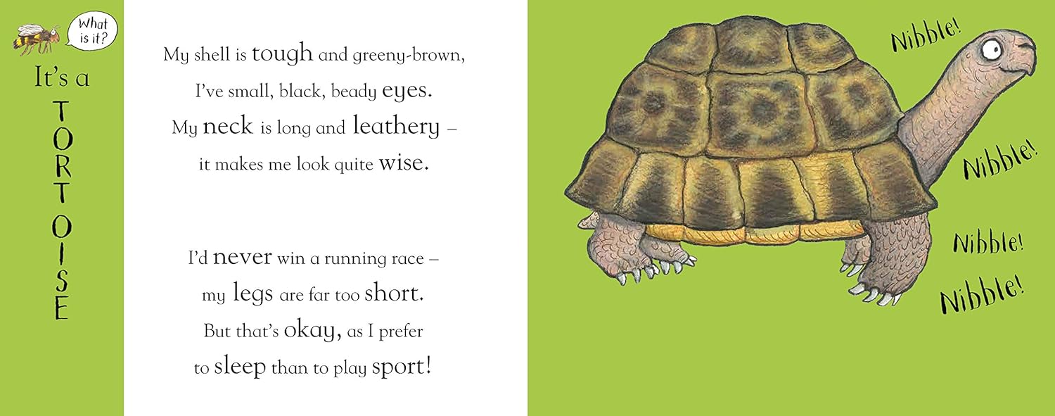 Axel Scheffler's Flip Flap Pets