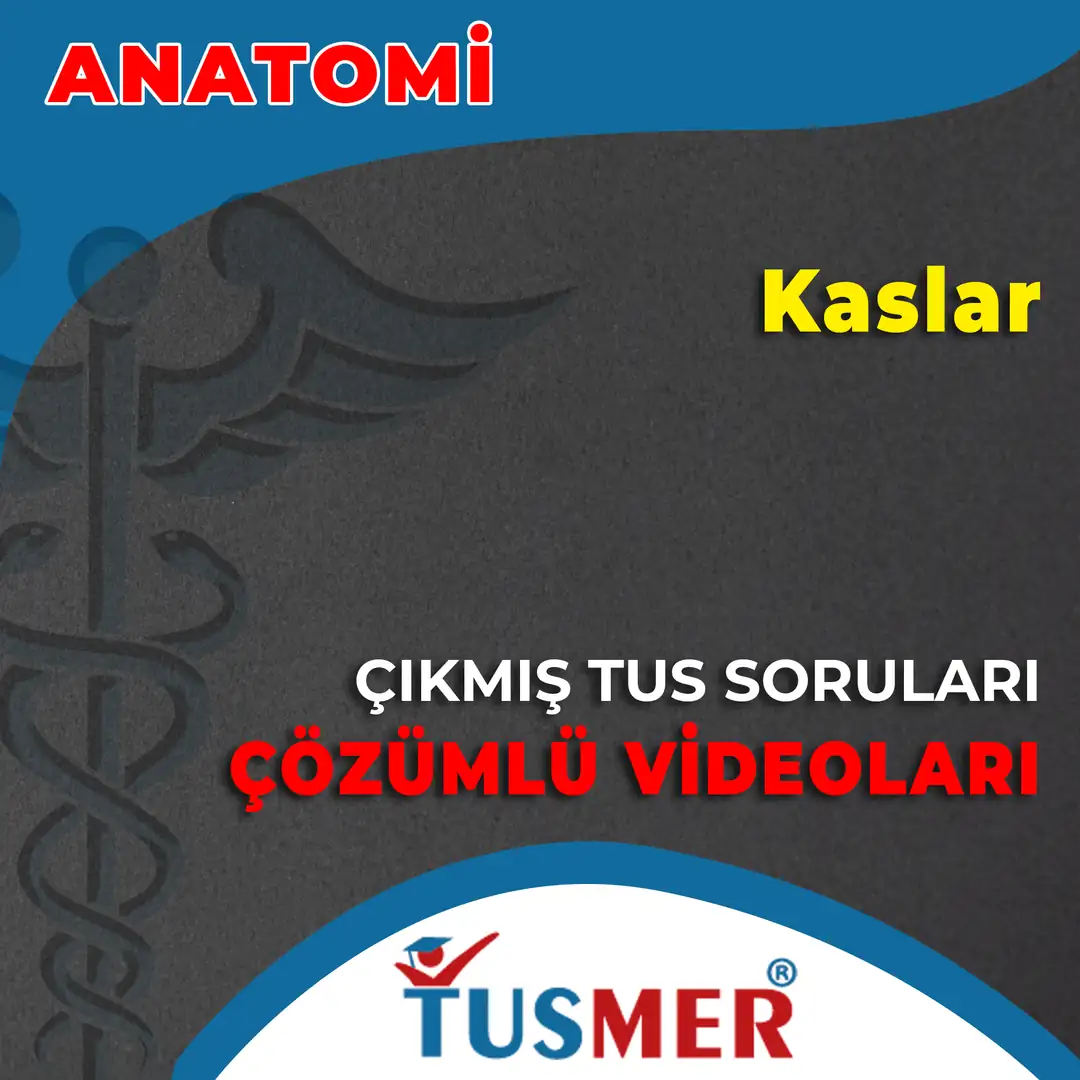 Kaslar Çıkmış Sorular
