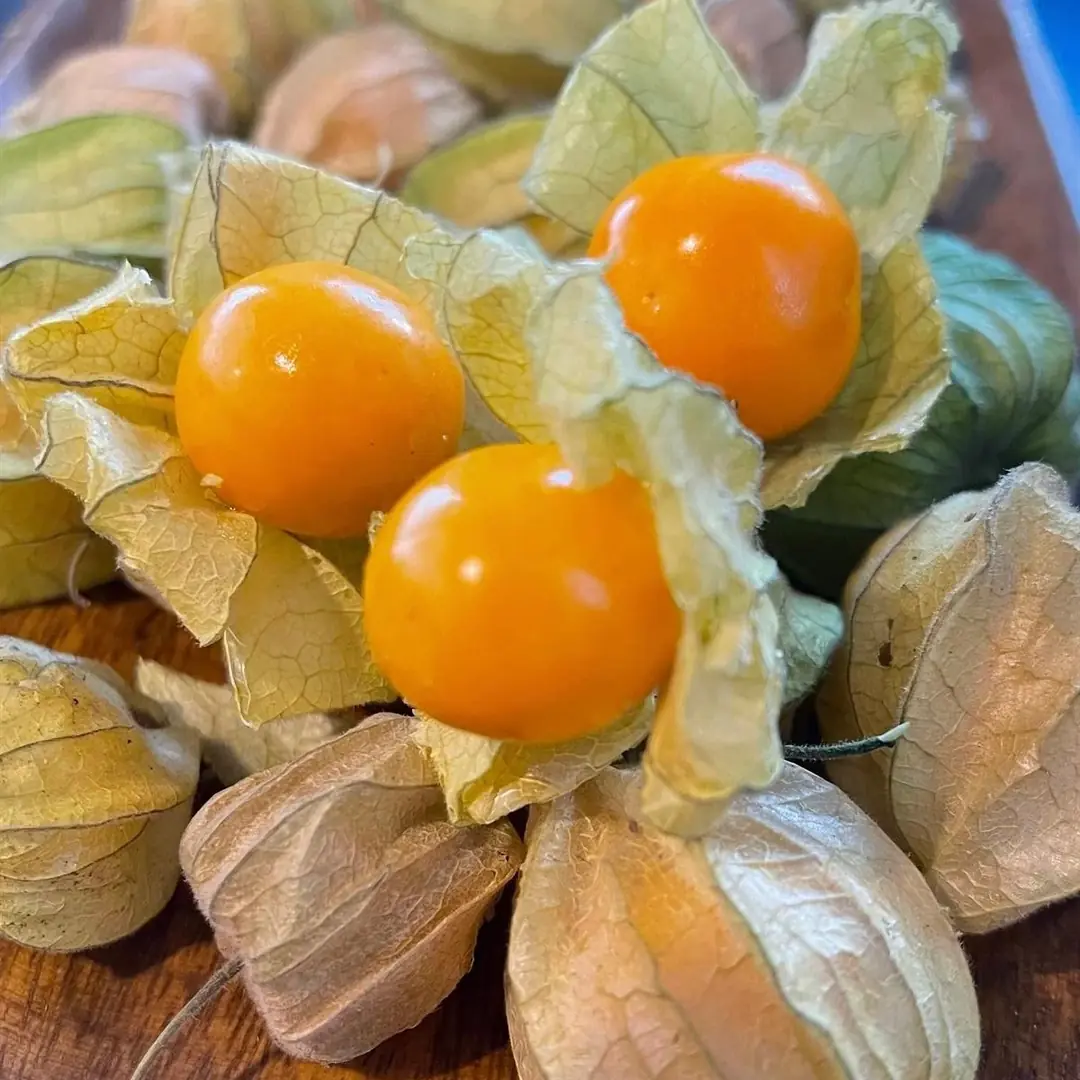 ALTIN ÇİLEK (100 gr)