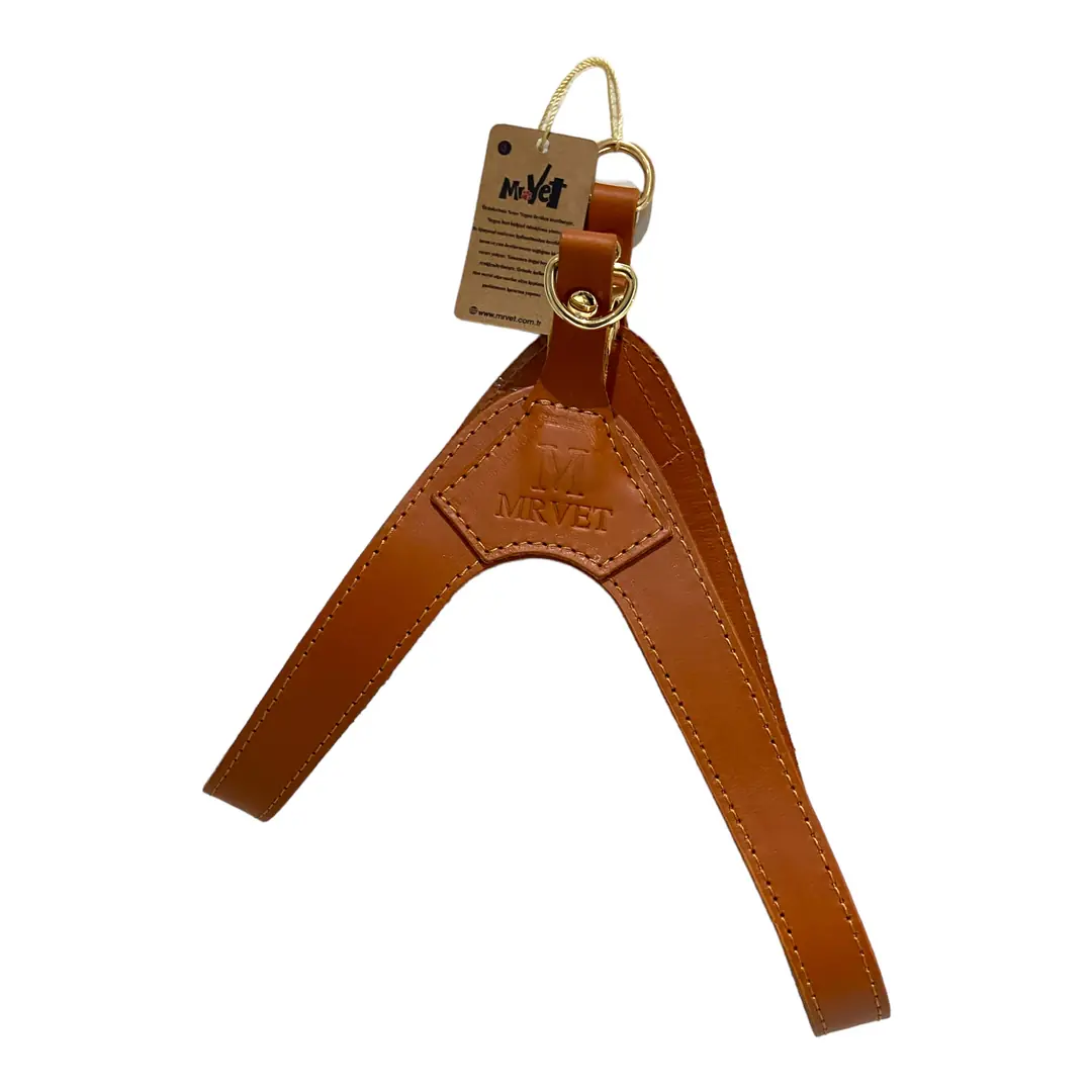Leather Harness